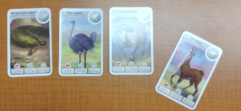Cardline Animals Review: An Educational Card Game Where You Order ...